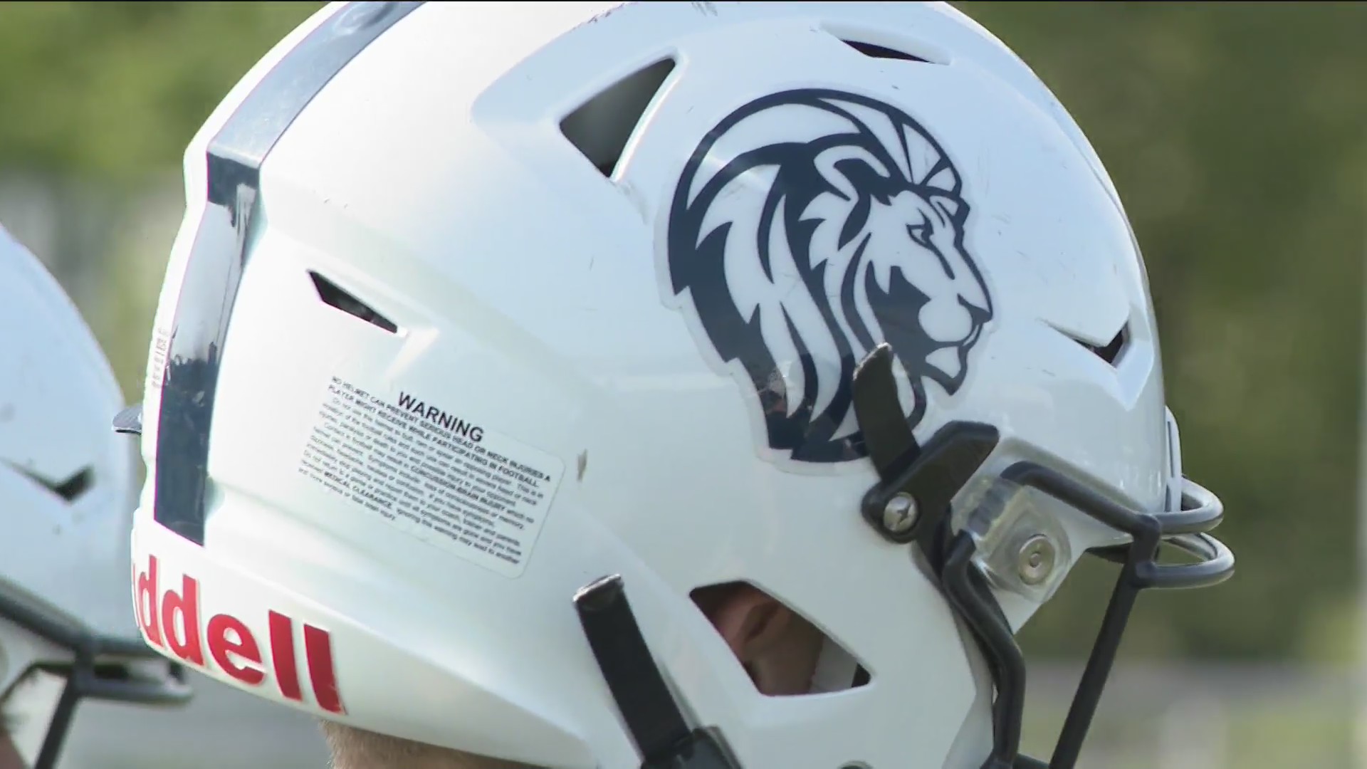DMC Lions off to perfect start – who13.com