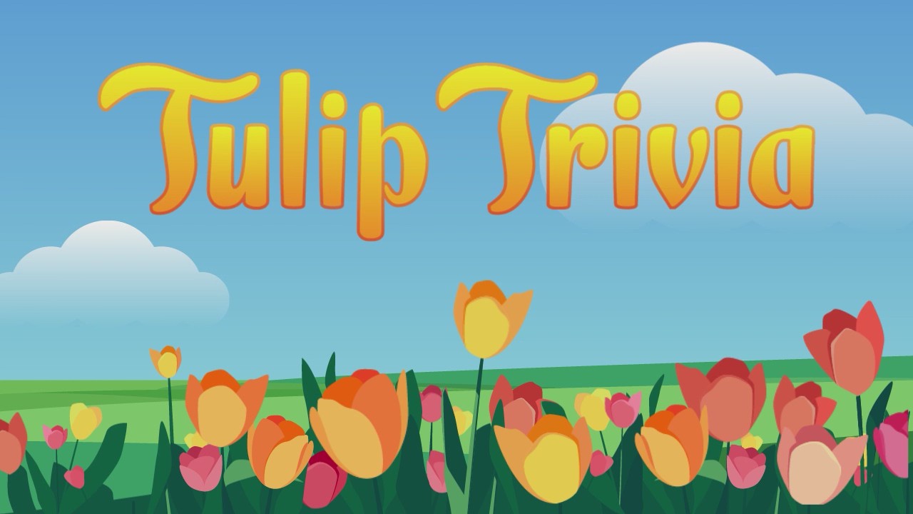 Tulip Trivia with Trishna, Rob and K.C. Part 1 – NEWS10 ABC
