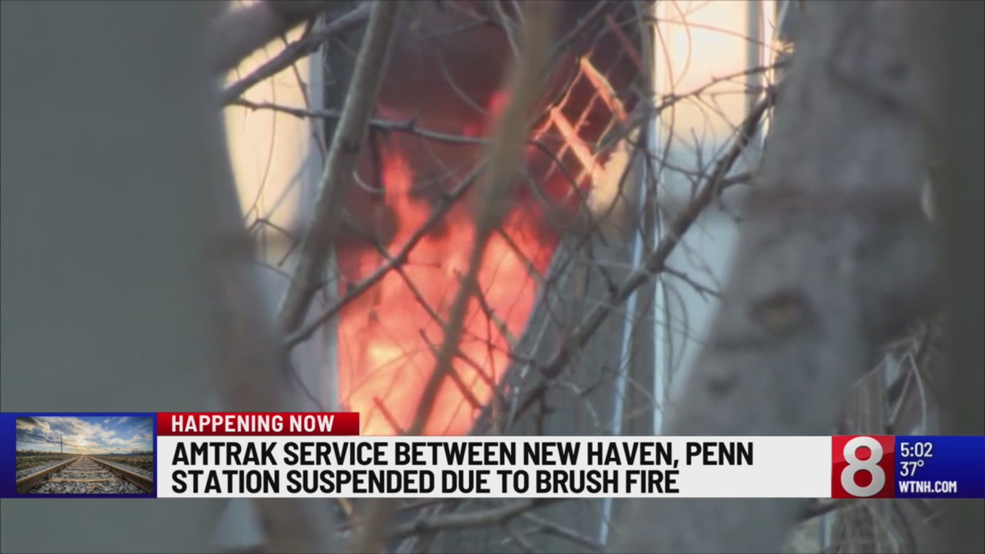 Amtrak service between New Haven, Penn Station suspended due to brush ...