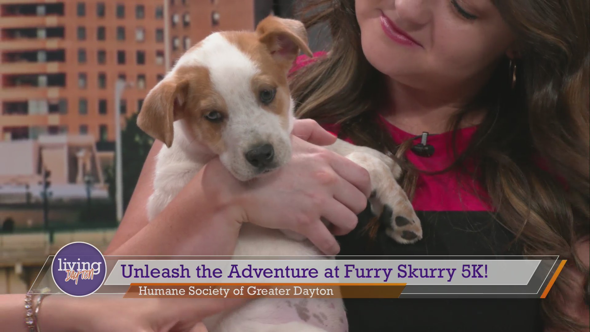 Unleash the Adventure at Furry Skurry 5K – WDTN.com
