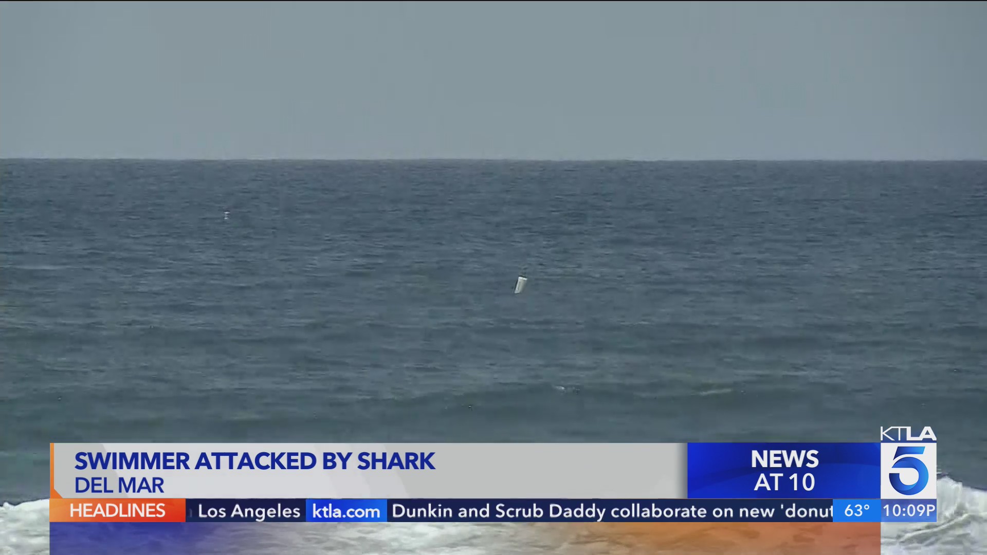 Shark attack rescuers speak out after saving SoCal victim – KTLA