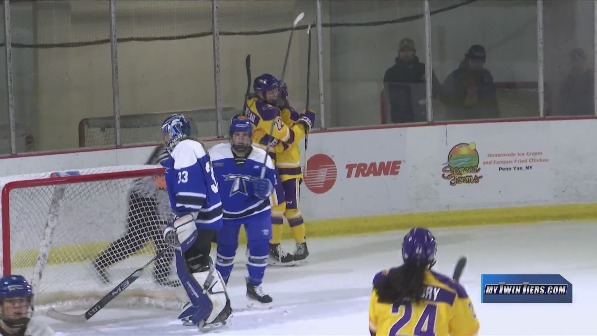 Elmira College hockey scores big wins over UMass-Boston, Gorman notches ...