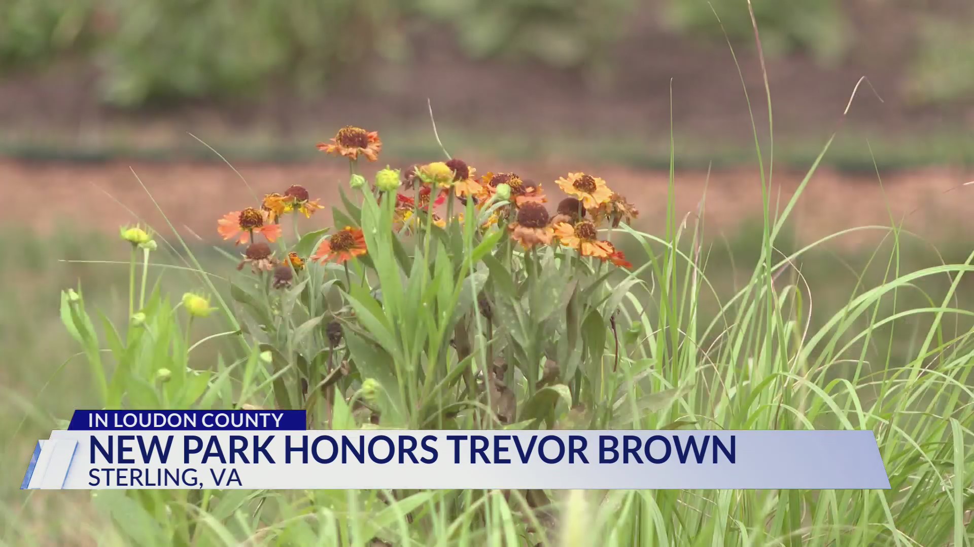 New park honors firefighter Trevor Brown – DC News Now | DC, Virginia ...