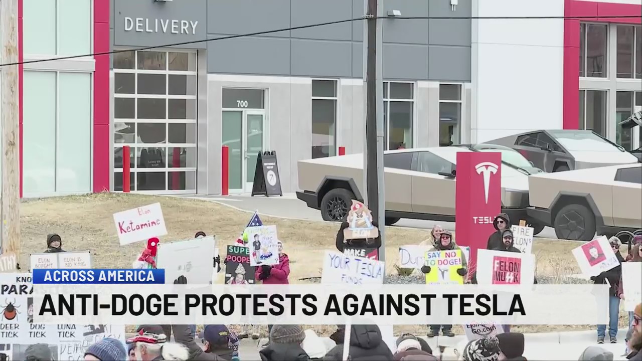 Anti-DOGE protests against Tesla – NEWS10 ABC