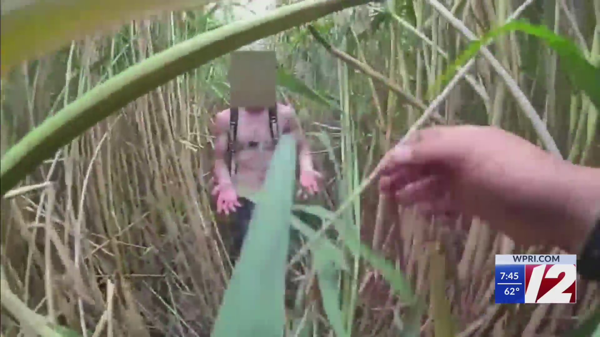 Bodycam video shows officers rescue man from swamp in Somerset – WPRI.com