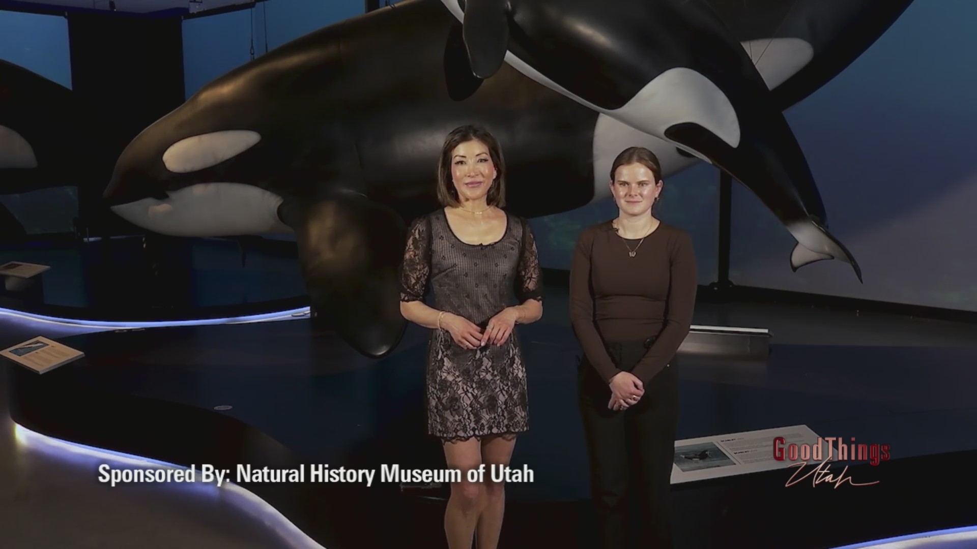 Natural History Museum of Utah: Dive into the World of Orcas Before It ...