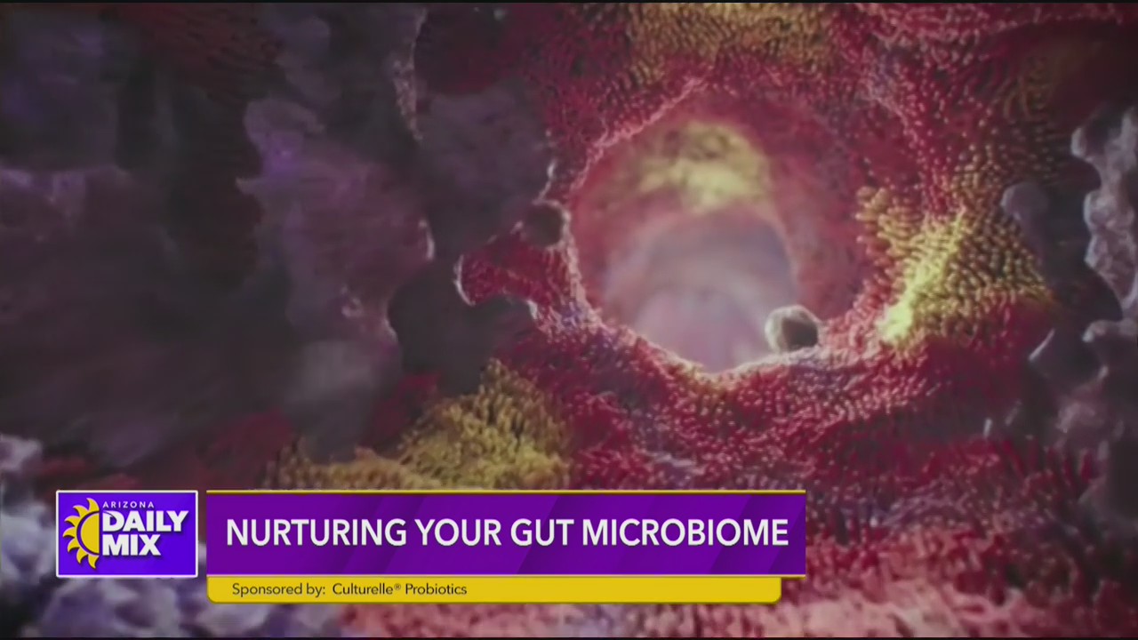 Culturelle Probiotics: Protecting your gut’s microbiomes – CW7 Arizona