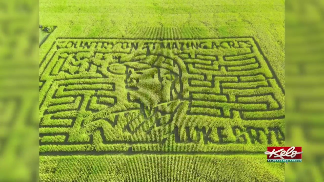 5-acre corn maze shaped as country music artist – KELOLAND.com