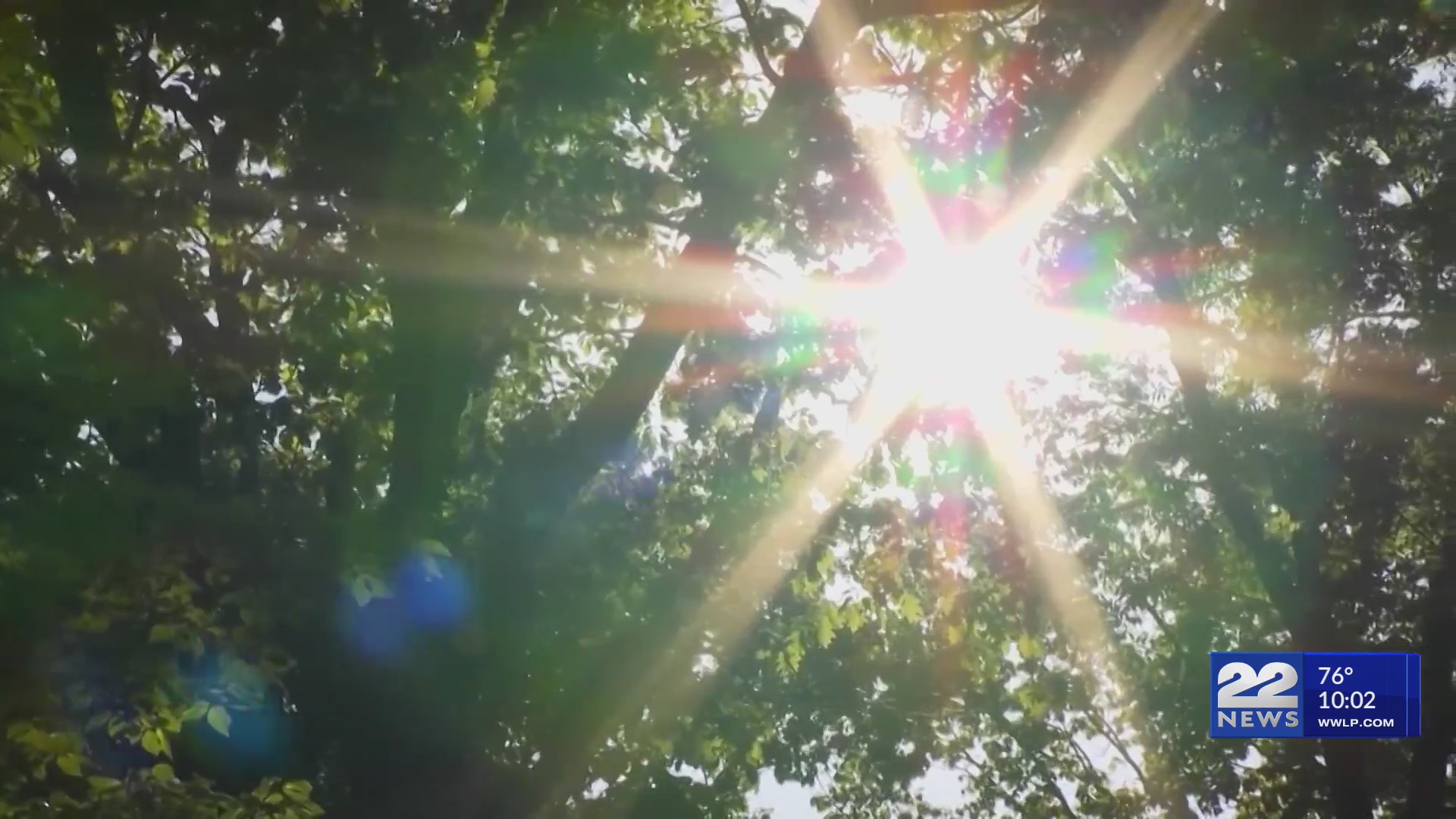 Prepare for heatwave with temps nearing 100, stay safe and cool – WWLP