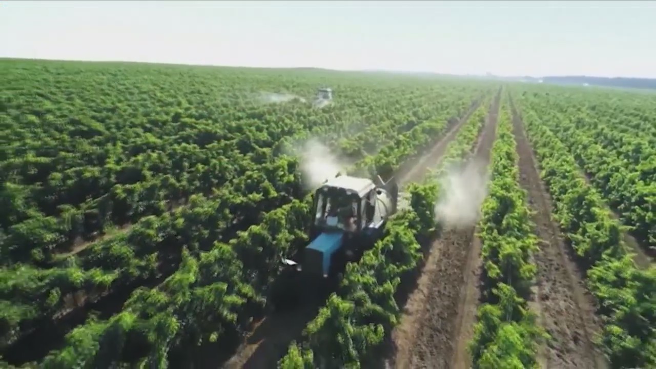 What’s ahead for 2025 Farm Bill update – WHBF – OurQuadCities.com