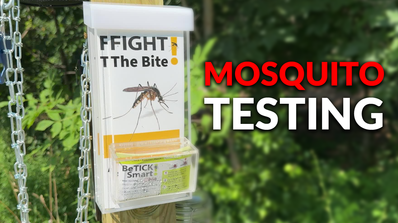 Behind the scenes: Mosquito testing in the Valley – WKBN.com