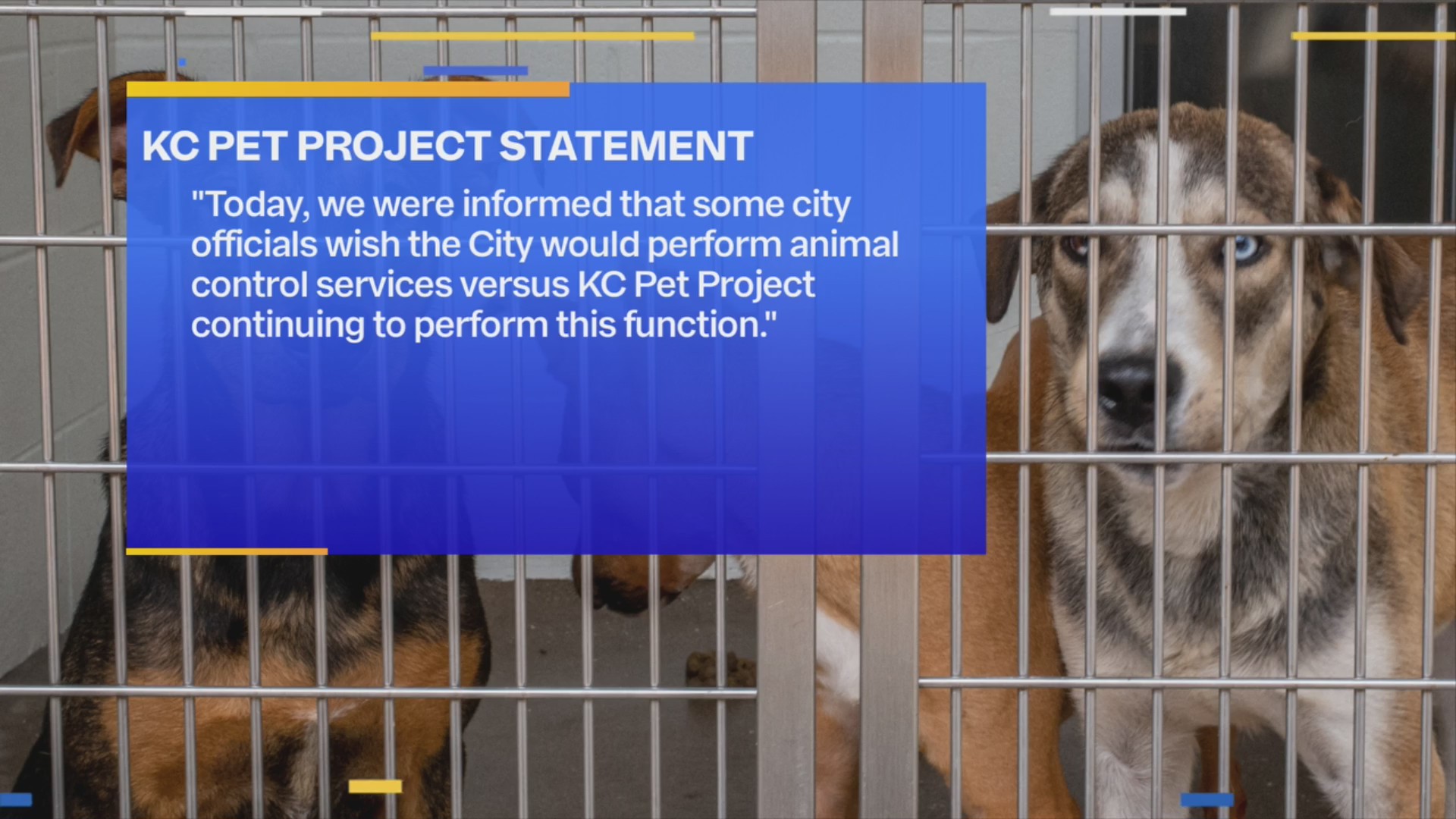 KC Pet Project may be losing contract with Kansas City – FOX 4 Kansas ...