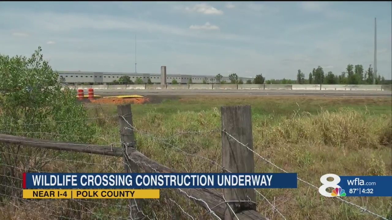 Florida building its first dedicated wildlife crossing over I-4 in Polk ...