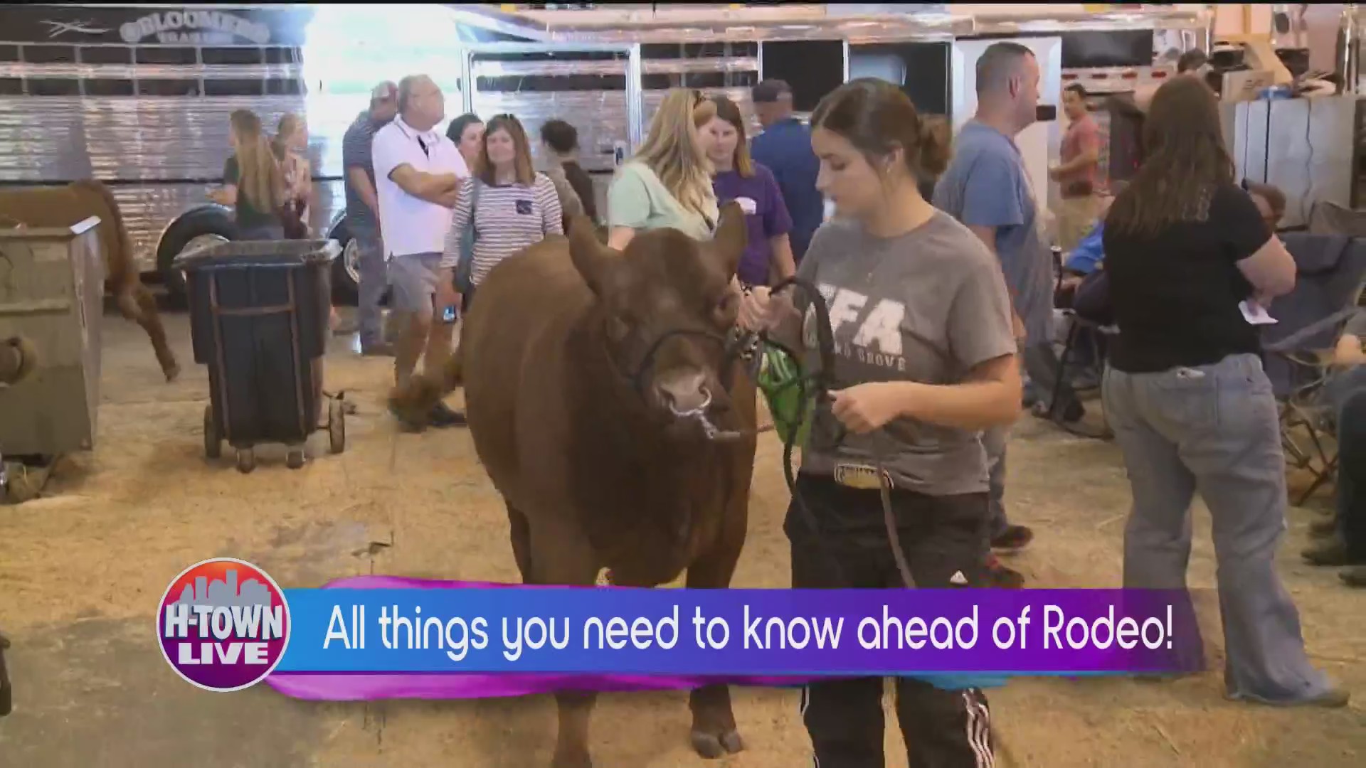 All Things You Need to Know Ahead of RodeoHouston – H-TOWN LIVE – CW39 ...