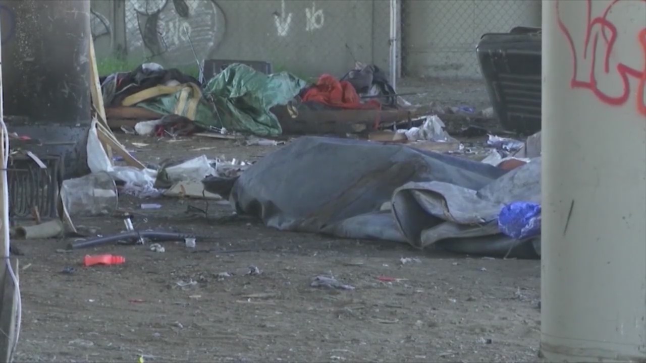 Berkeley unsheltered homelessness nearly halved in two years: report ...