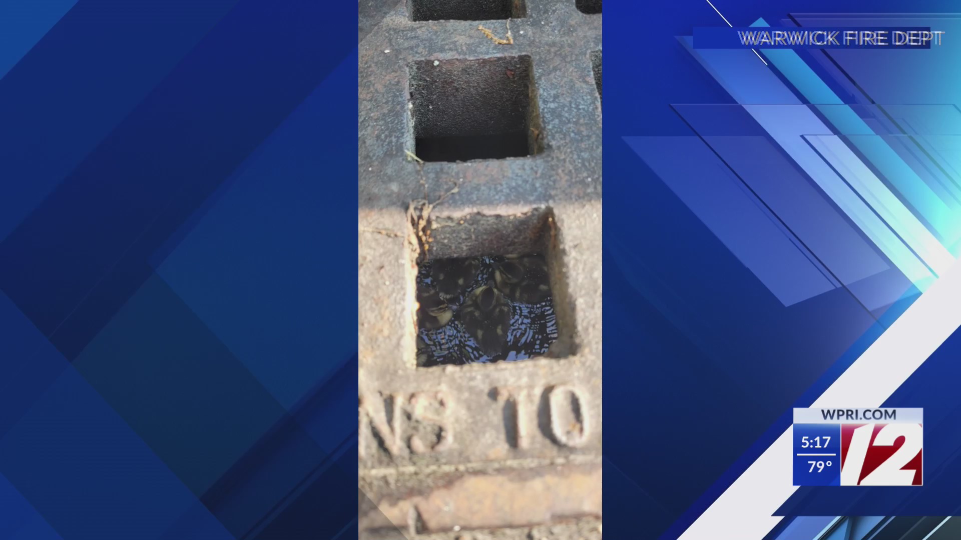 Warwick firefighters rescue ducklings from drain – WPRI.com