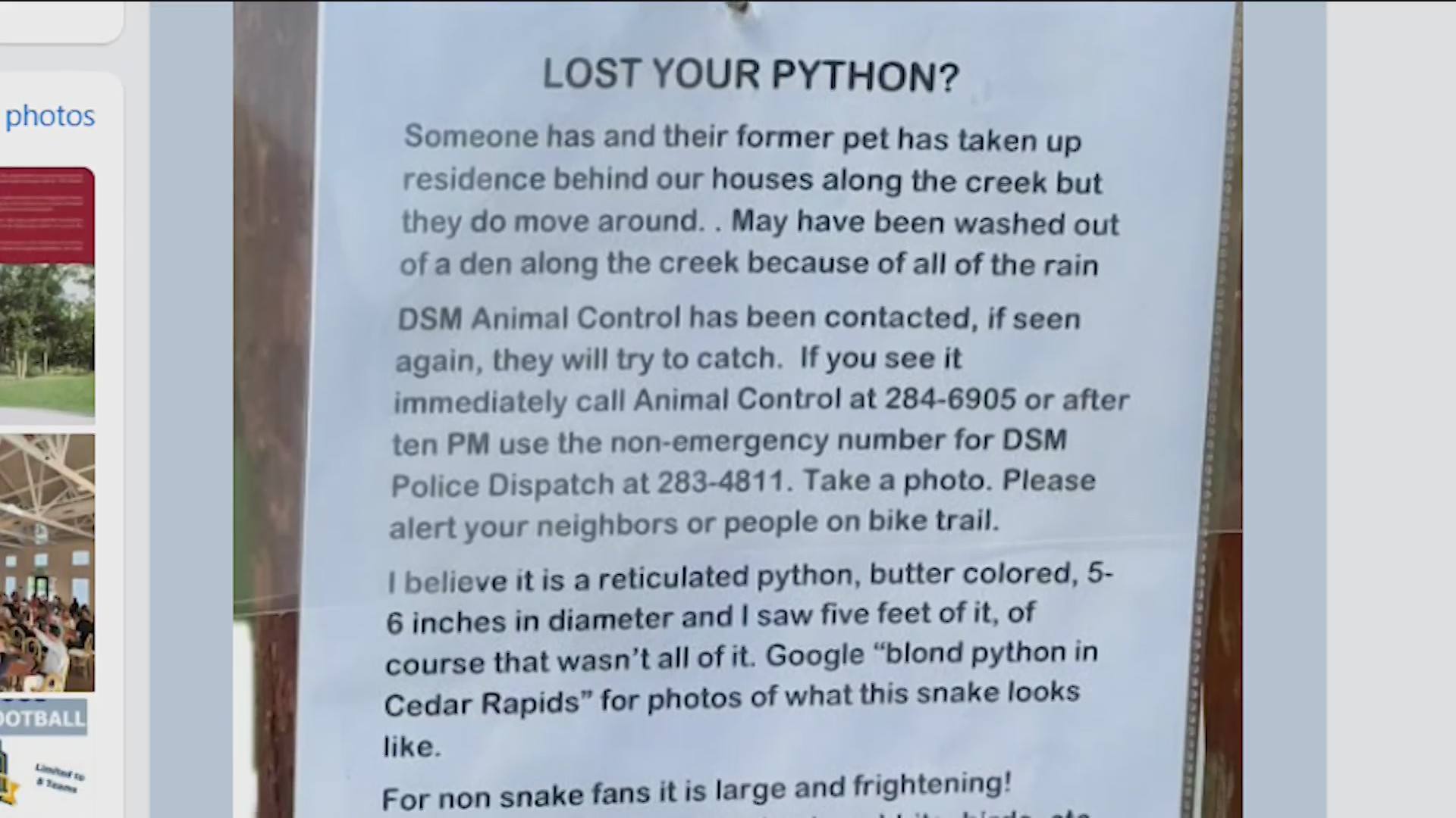 Des Moines resident warns neighbors after 6-foot python sighting ...
