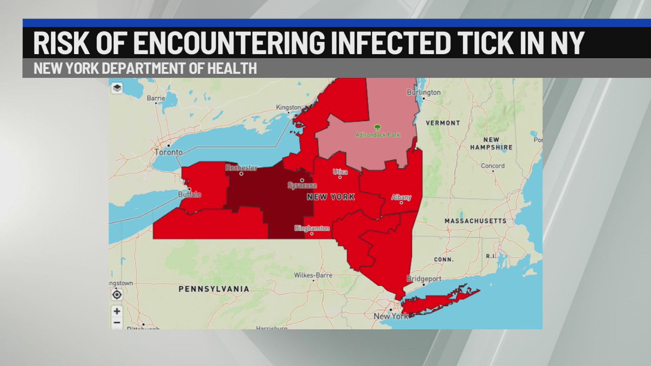 Risk of encountering infected ticks in NY remains high – NEWS10 ABC