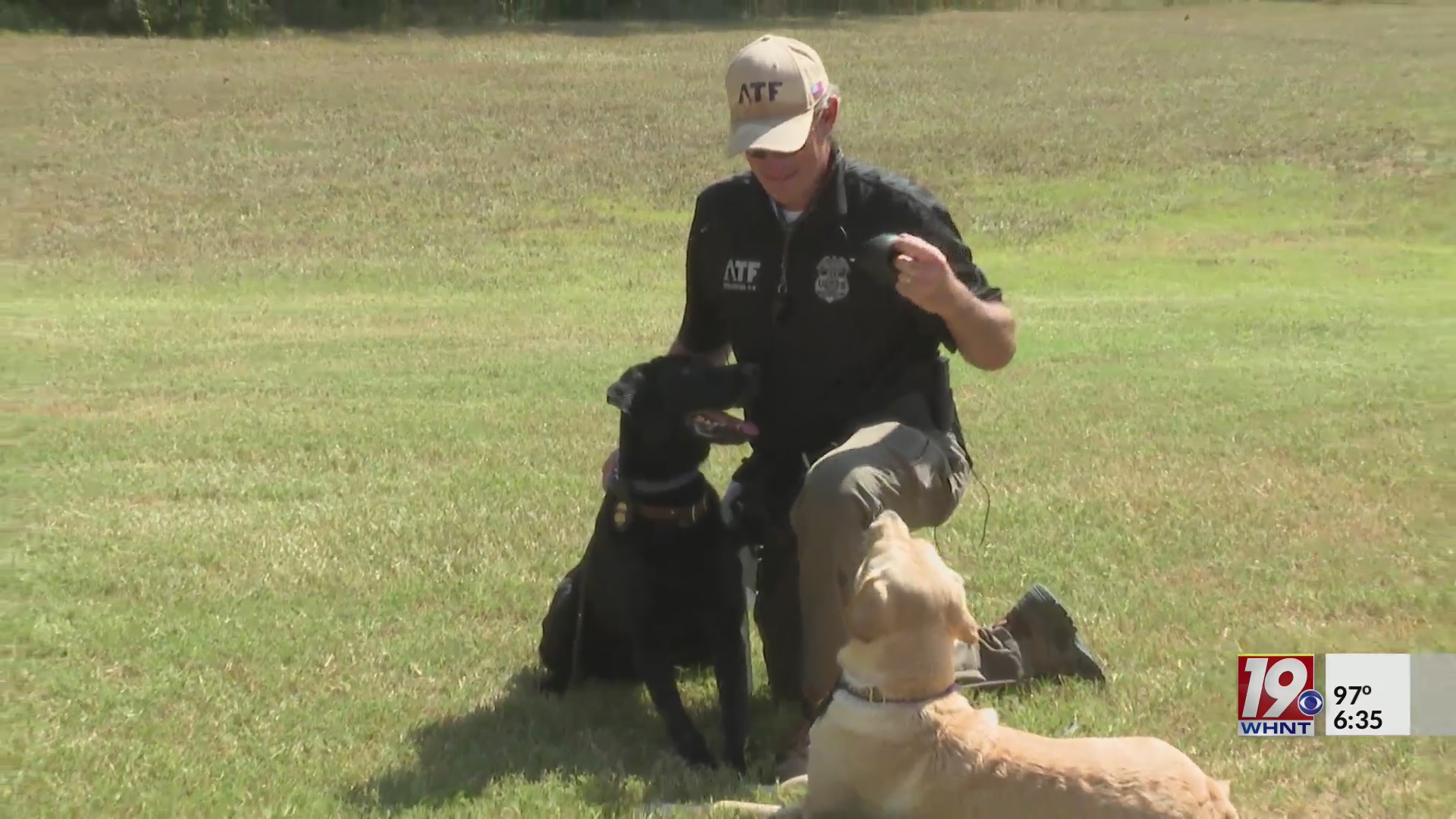 ATF Explosive Detection K-9 Officers | August 28, 2024 | News 19 at 6: ...