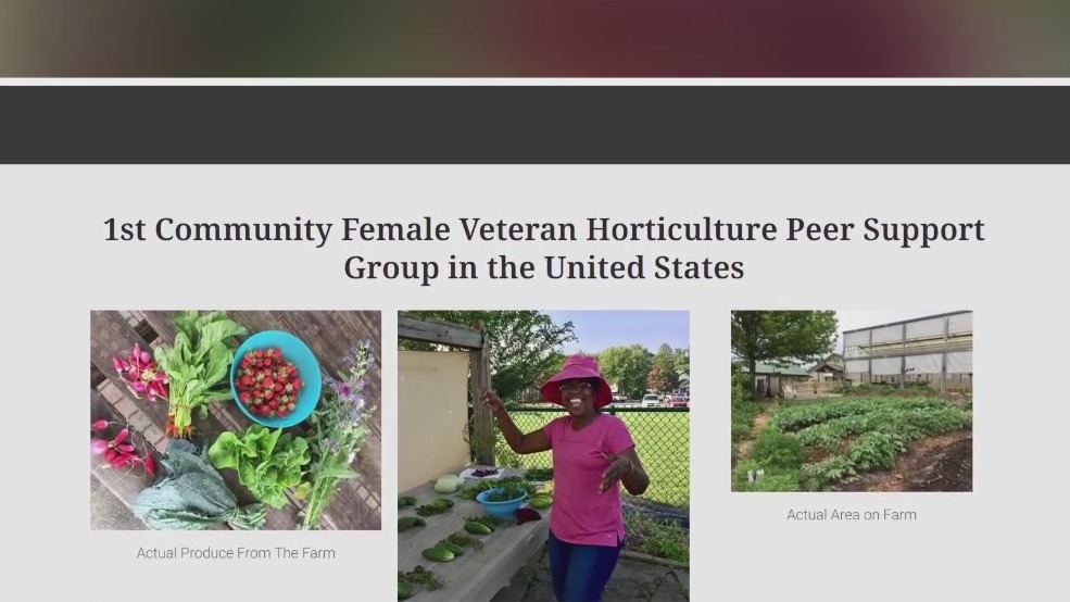 Agency helps female combat veterans transition to civilian life – FOX8 WGHP