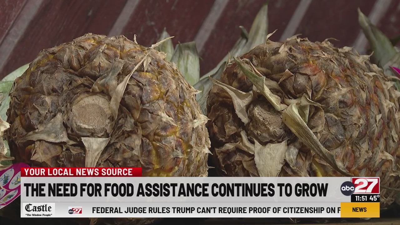 Need for food assistance continues to grow – ABC27