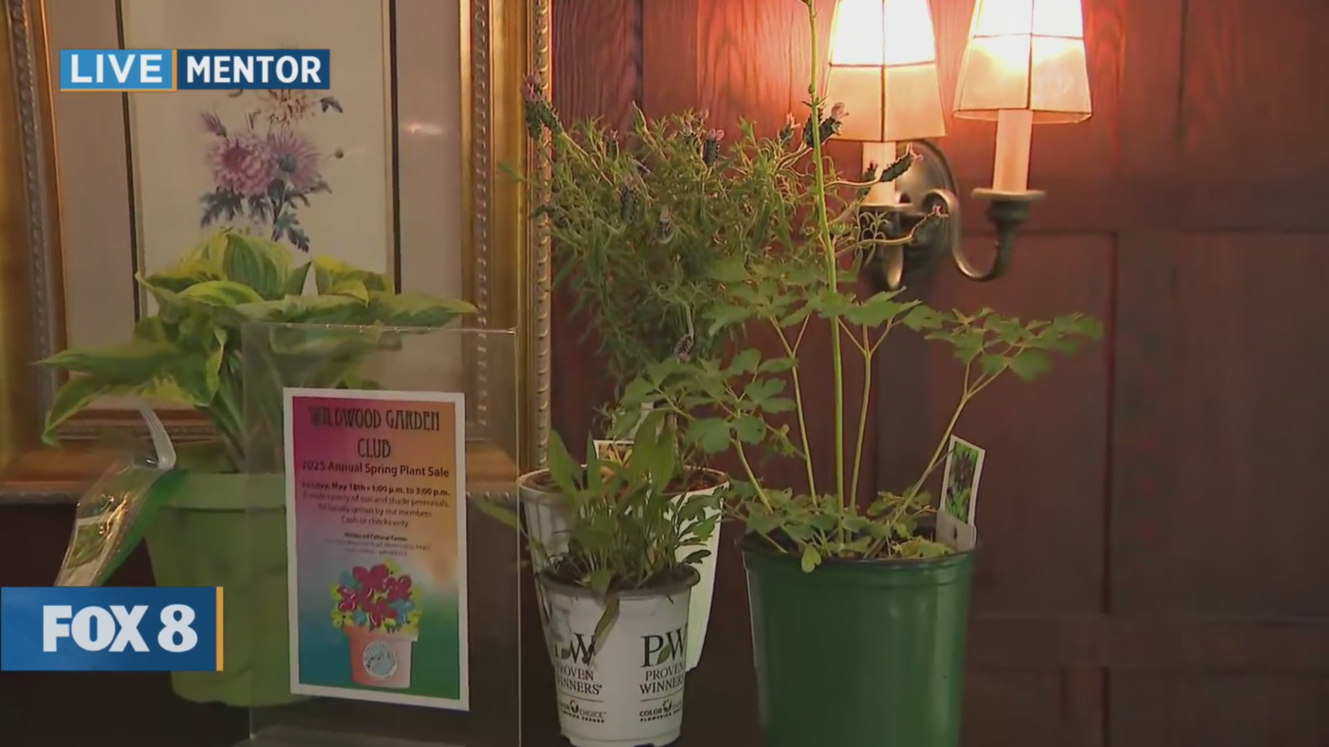 NDC/Fox 8 News at Noon: Wildwood Cultural Center – Fox 8 Cleveland WJW