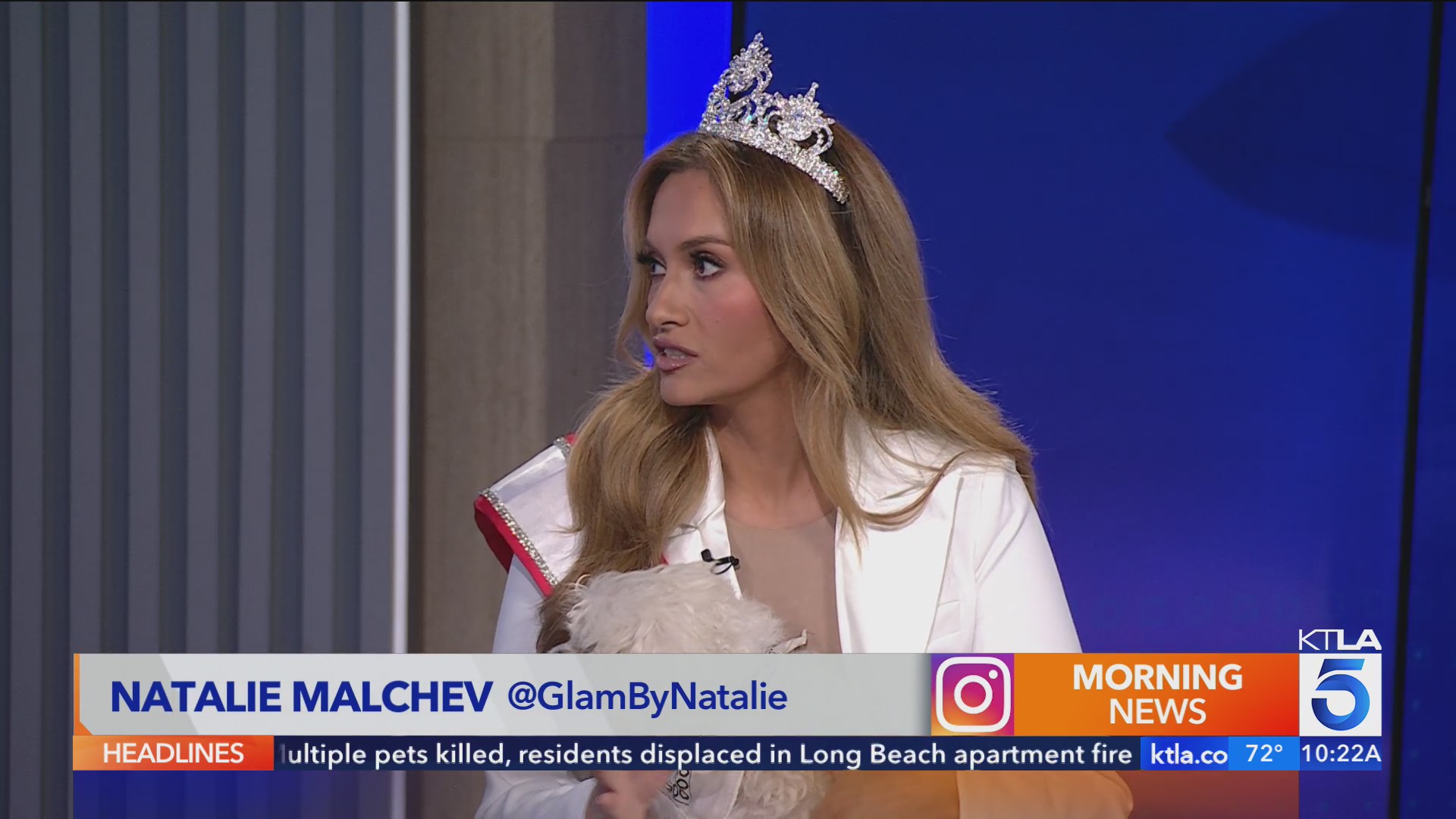 Natalie Malchev is partnering with Wags & Walks for a good cause – KTLA