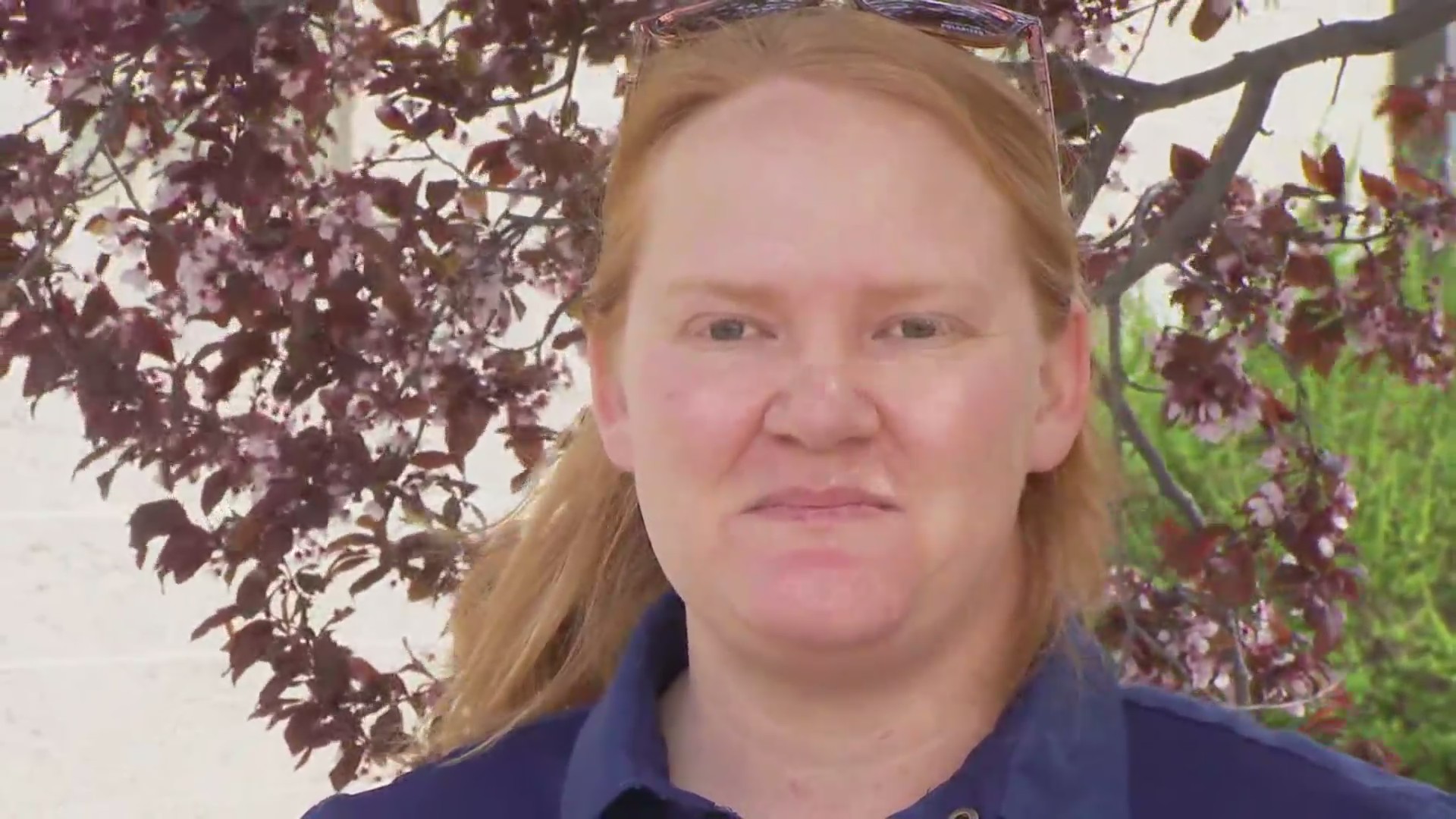 152 dogs rescued in Ogden update – WSPA 7NEWS