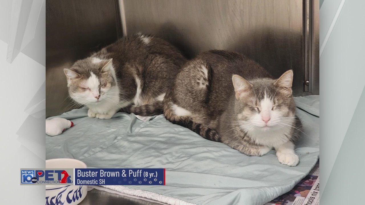 Buster Brown and Puff – NEWS10 ABC