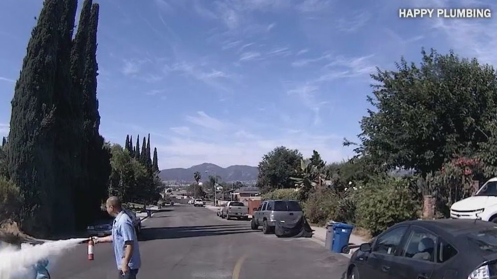 Swarm of bees attack Santee woman – FOX 5 San Diego & KUSI News