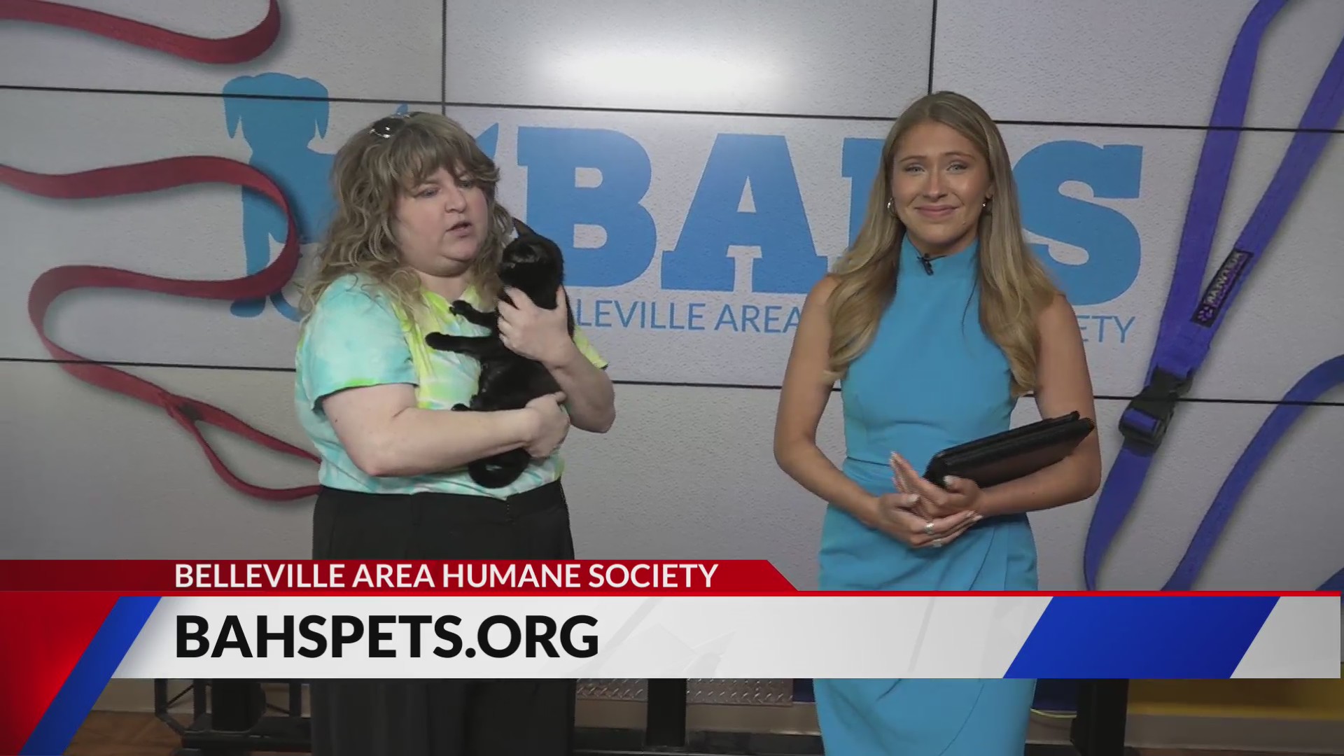 Adopt Cierra today – FOX 2