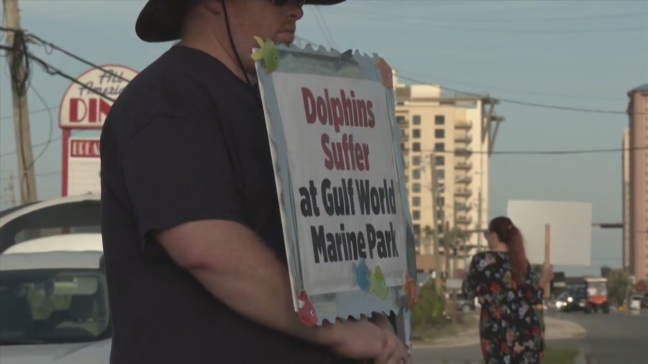New documents reveal possible cause of Gulf World dolphin’s death ...