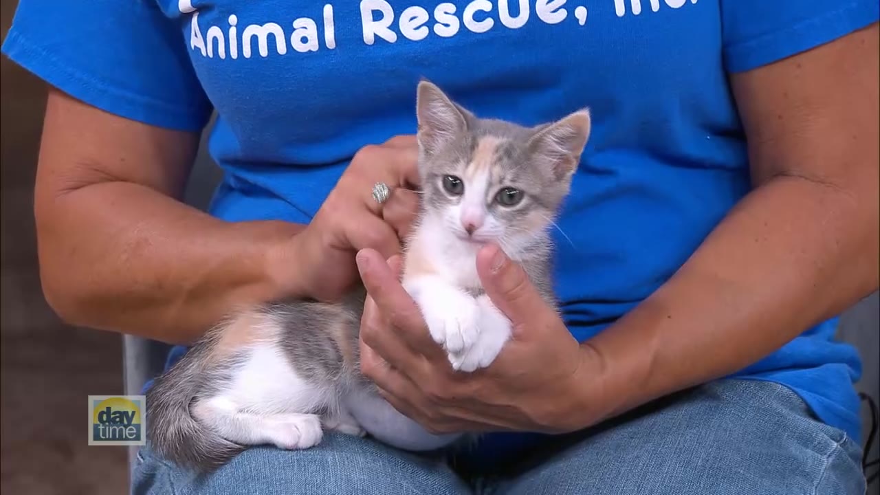 Farron’s Furever Friends 5-22-24 – WFLA