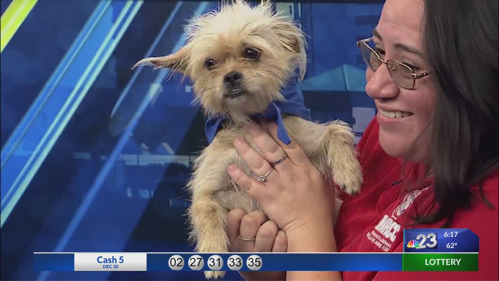 BARCC Pet of the Week: Sky – KVEO-TV