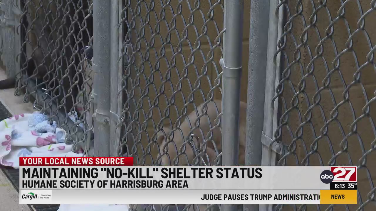 Maintaining ‘No-Kill’ shelter status in Harrisburg – PAhomepage.com