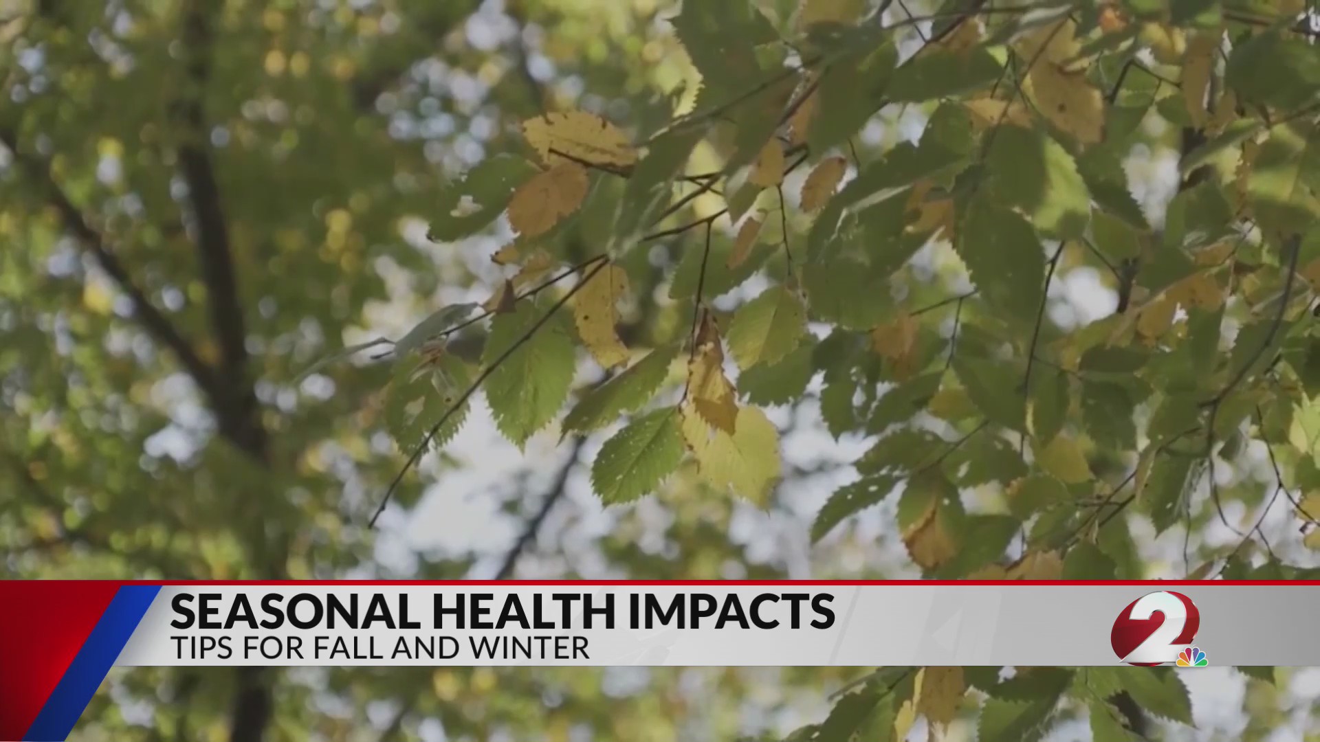 How less sunlight during day impacts physical, mental health – WDTN.com
