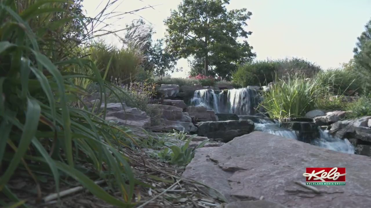 Late-summer splendor at Mary Jo Wegner Arboretum – KELOLAND.com
