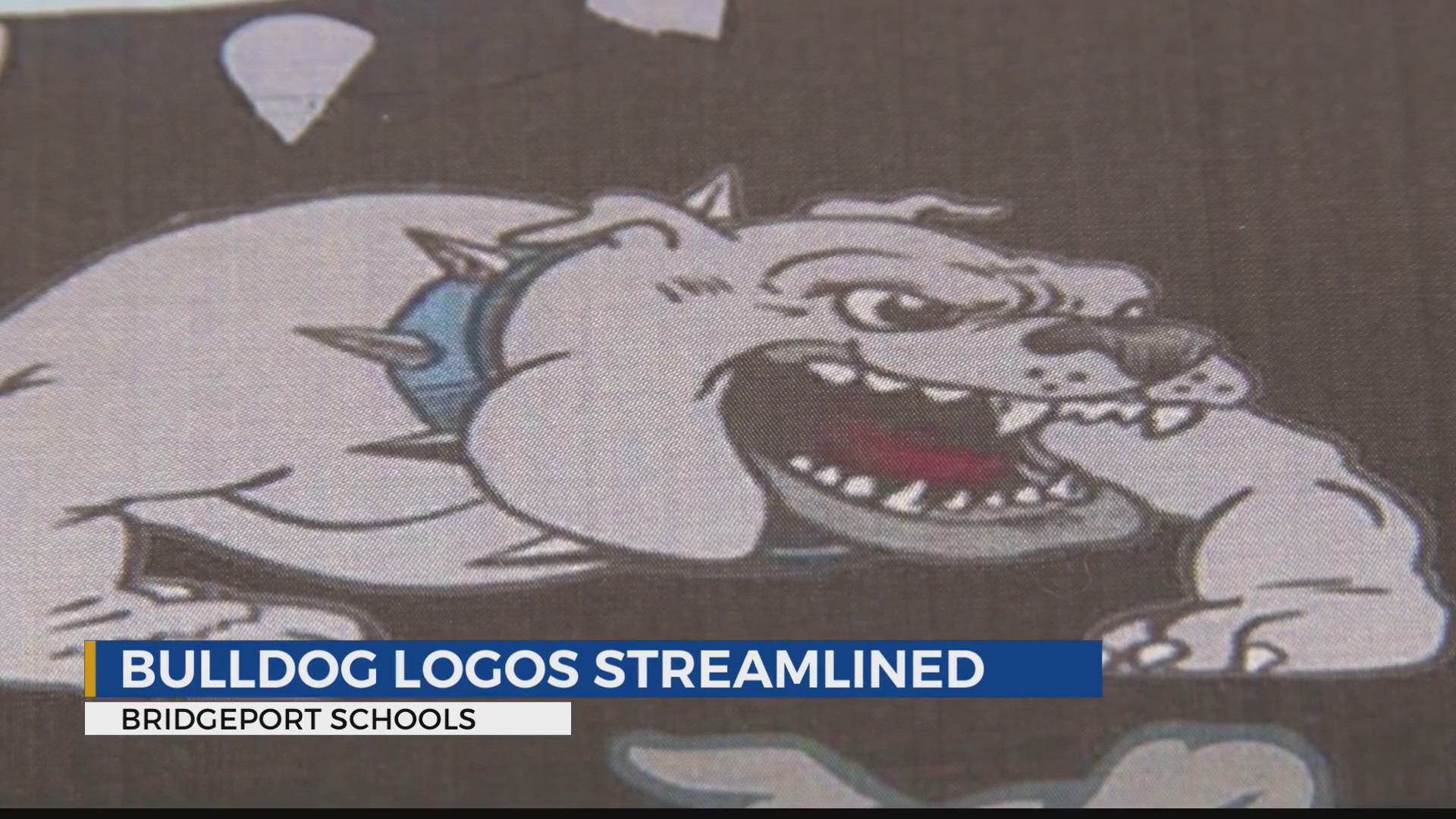 Bridgeport student creates uniform bulldog logos – WTRF