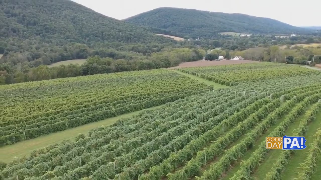 Benigna Creek Winery – ABC27