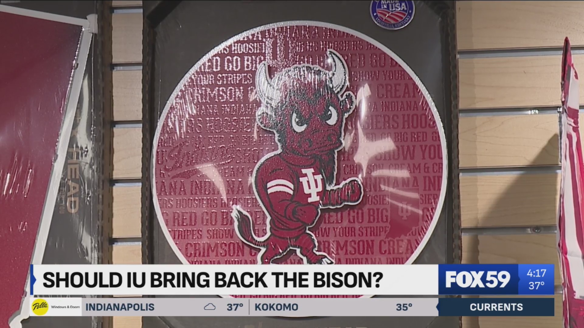 IU’s Bison mascot movement gaining steam in Bloomington – Fox 59