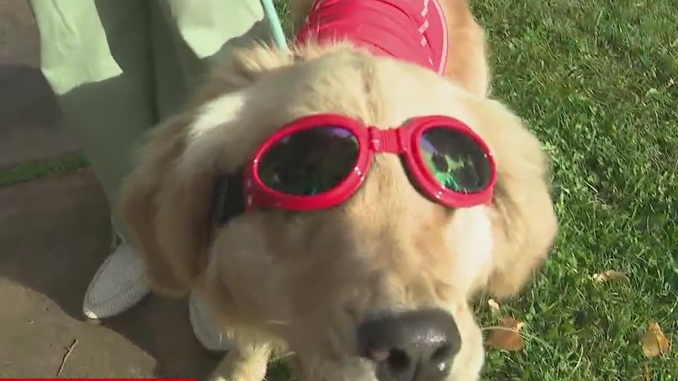 Pooch Parade this weekend – FOX40 News