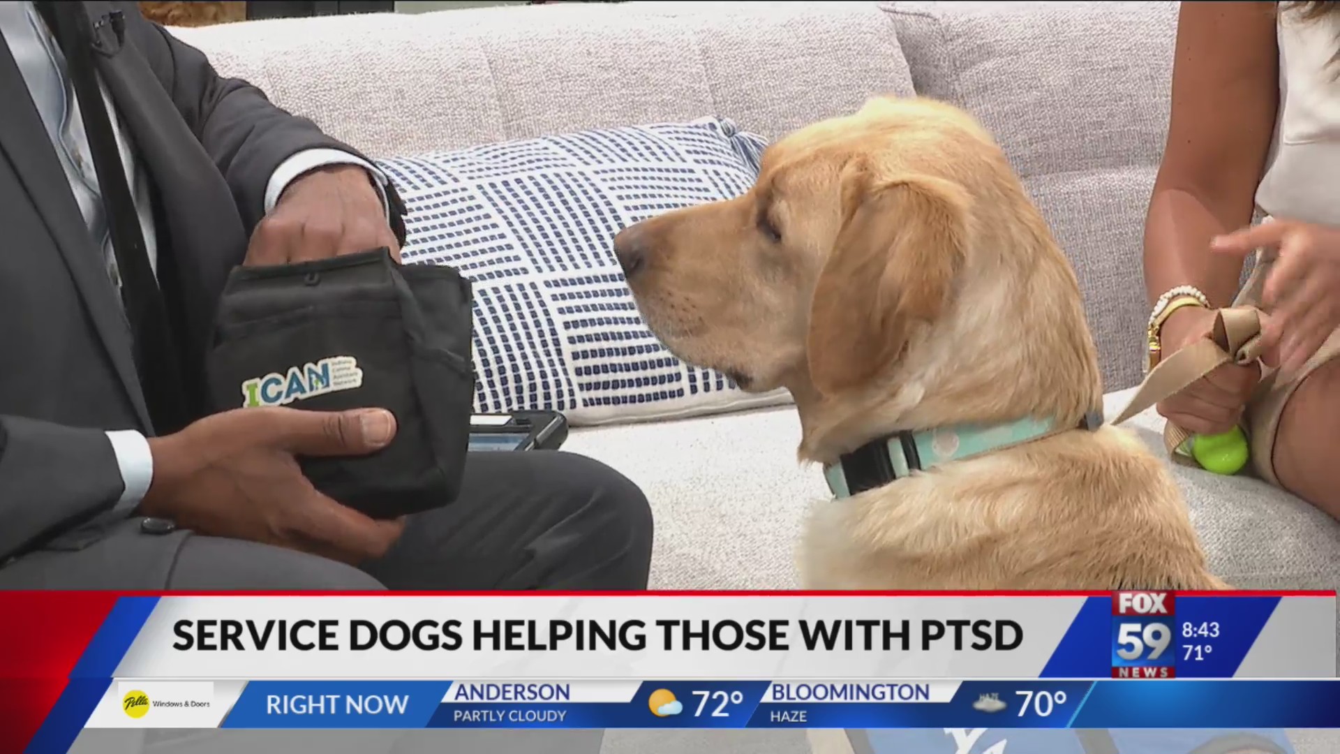 Service dogs helping those with PTSD – Fox 59