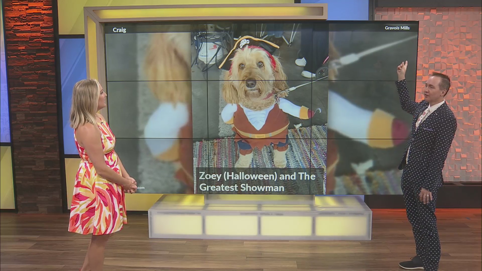 Viewer pet pictures part 2 – KOLR – OzarksFirst.com