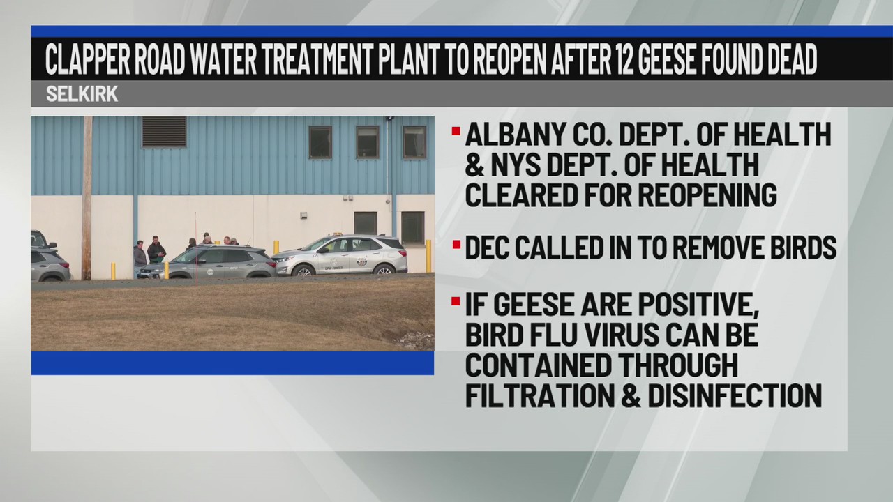 Clapper Road water treatment plant to reopen after 12 geese found dead ...