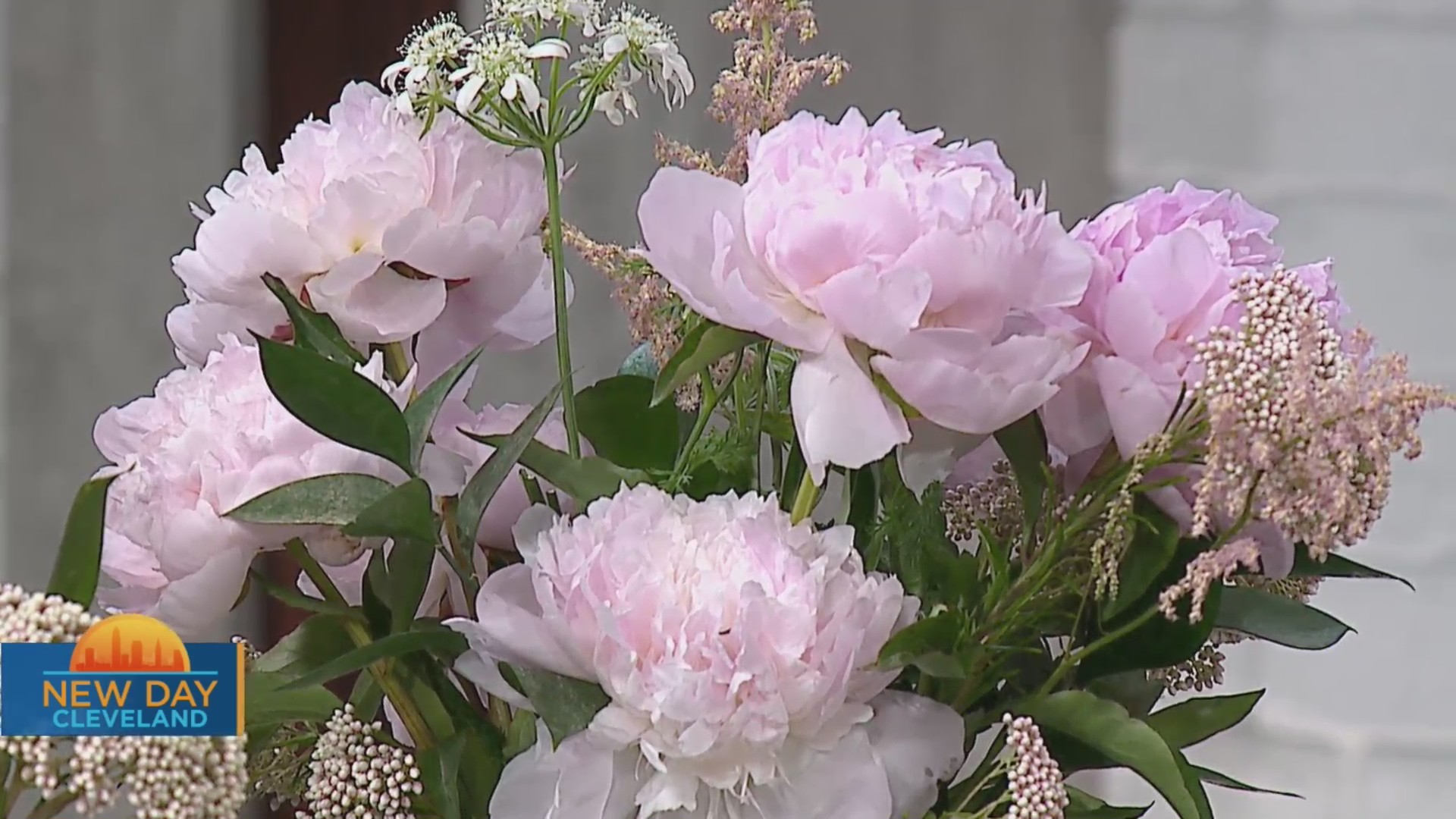 New Day Cleveland: Bainbridge Blooms – Fox 8 Cleveland WJW