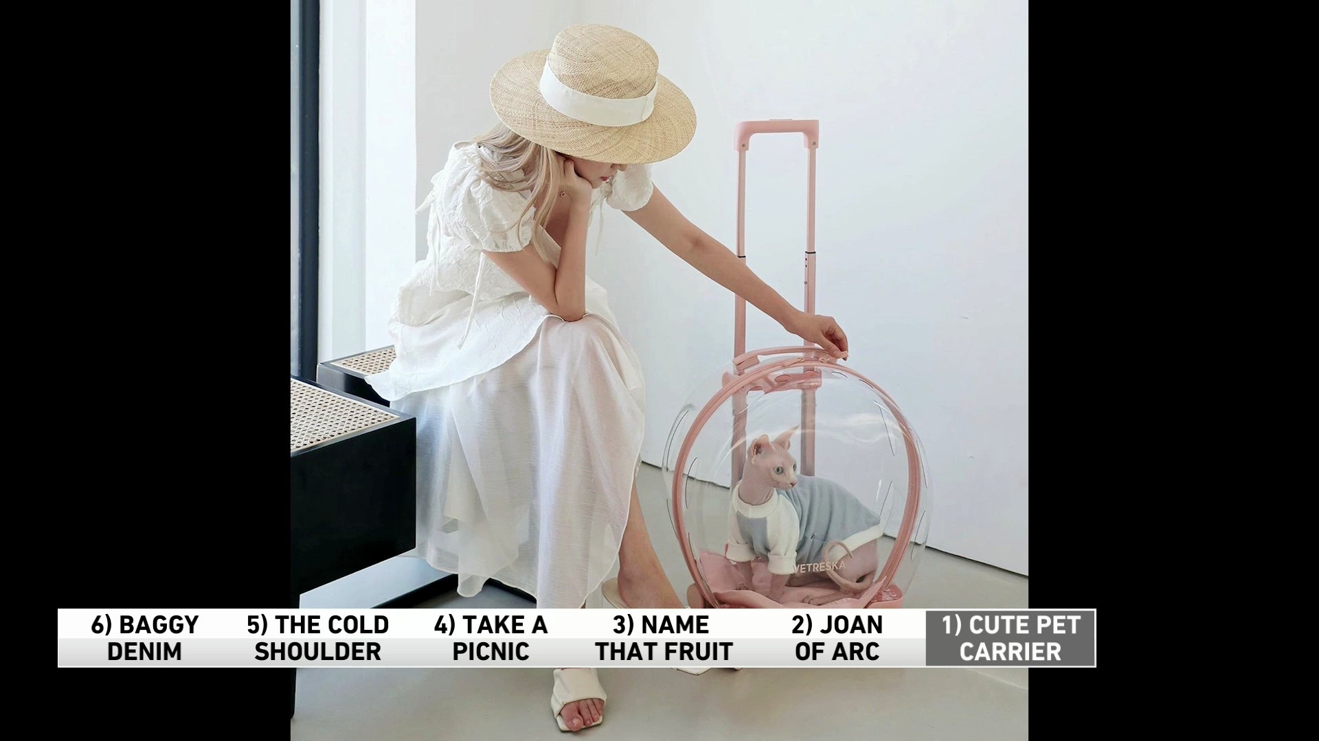 6@6: Funky pet carrier – WGN-TV