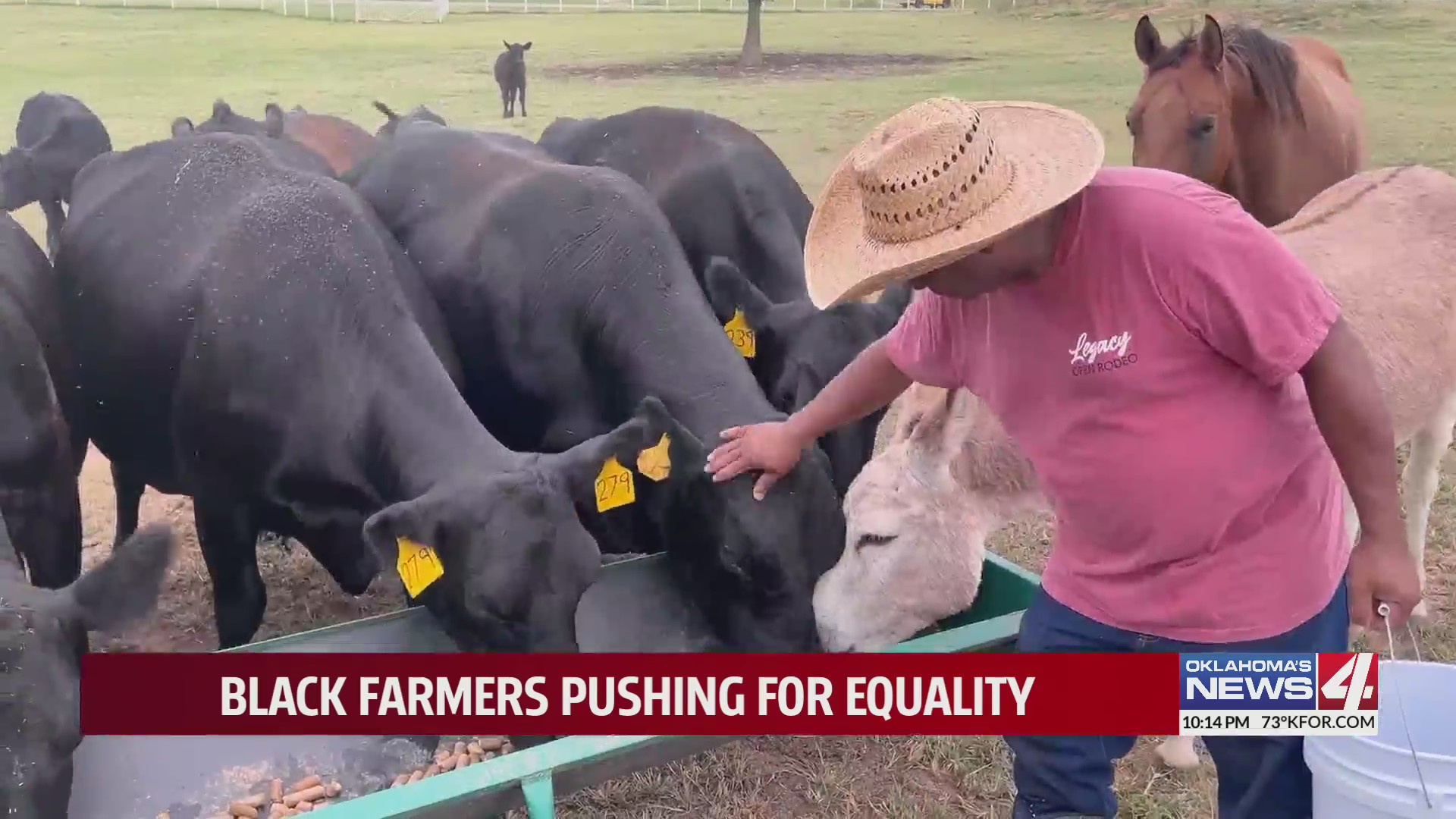 Local Black farmers pushing for equality in agriculture – KFOR.com ...