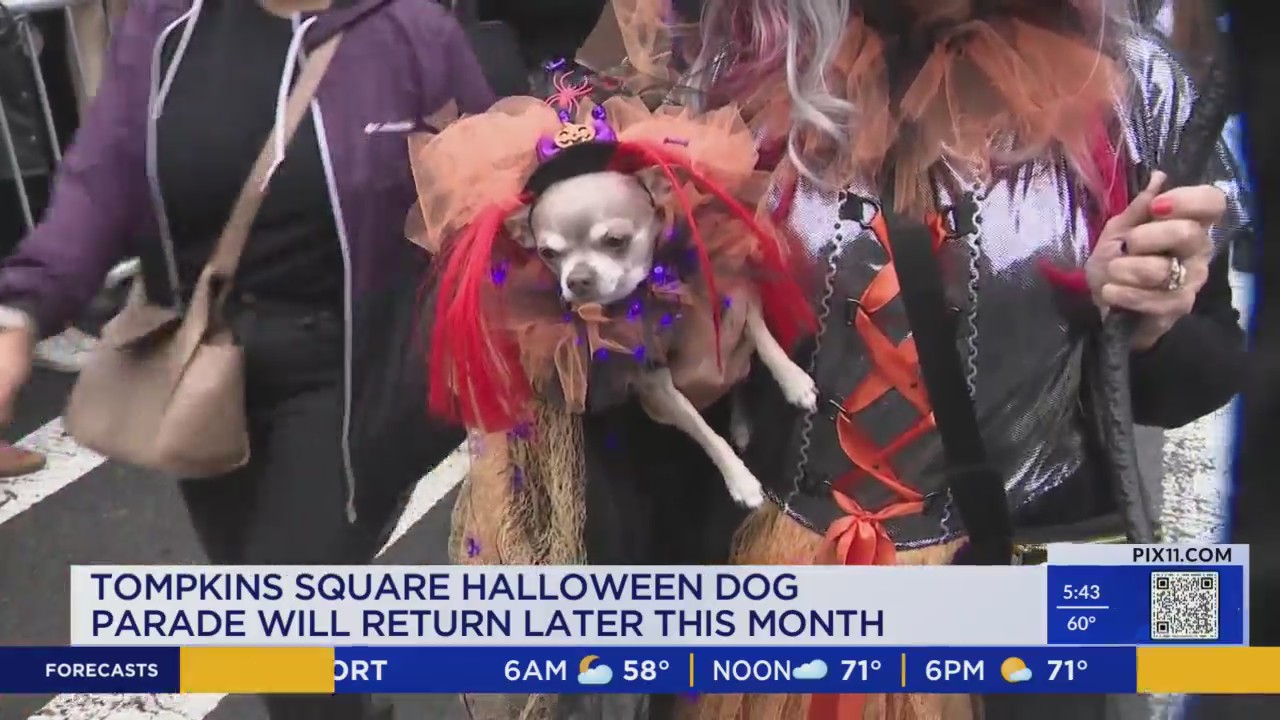 Tompkins Square Halloween Dog Parade lets the dogs out for its 34th ...
