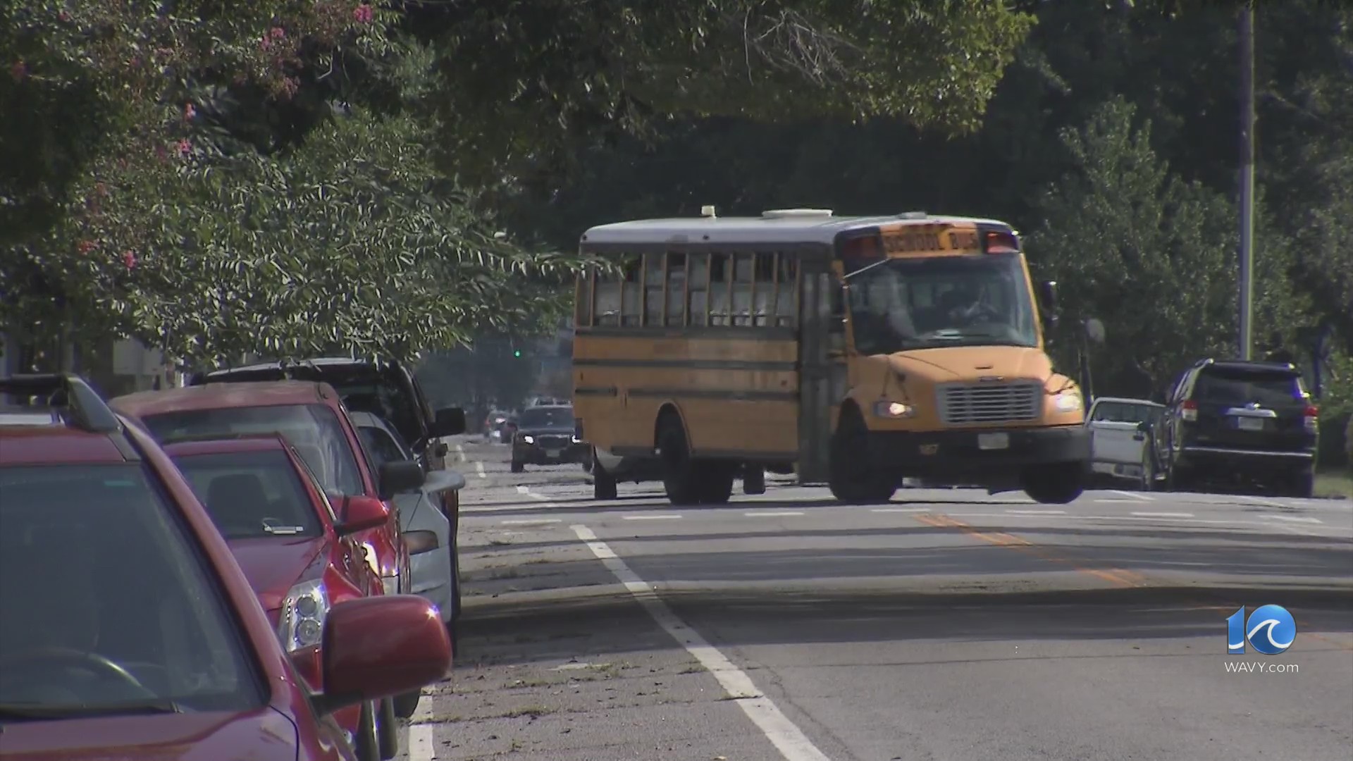 Shortage of bus drivers in Hampton Roads – WAVY.com