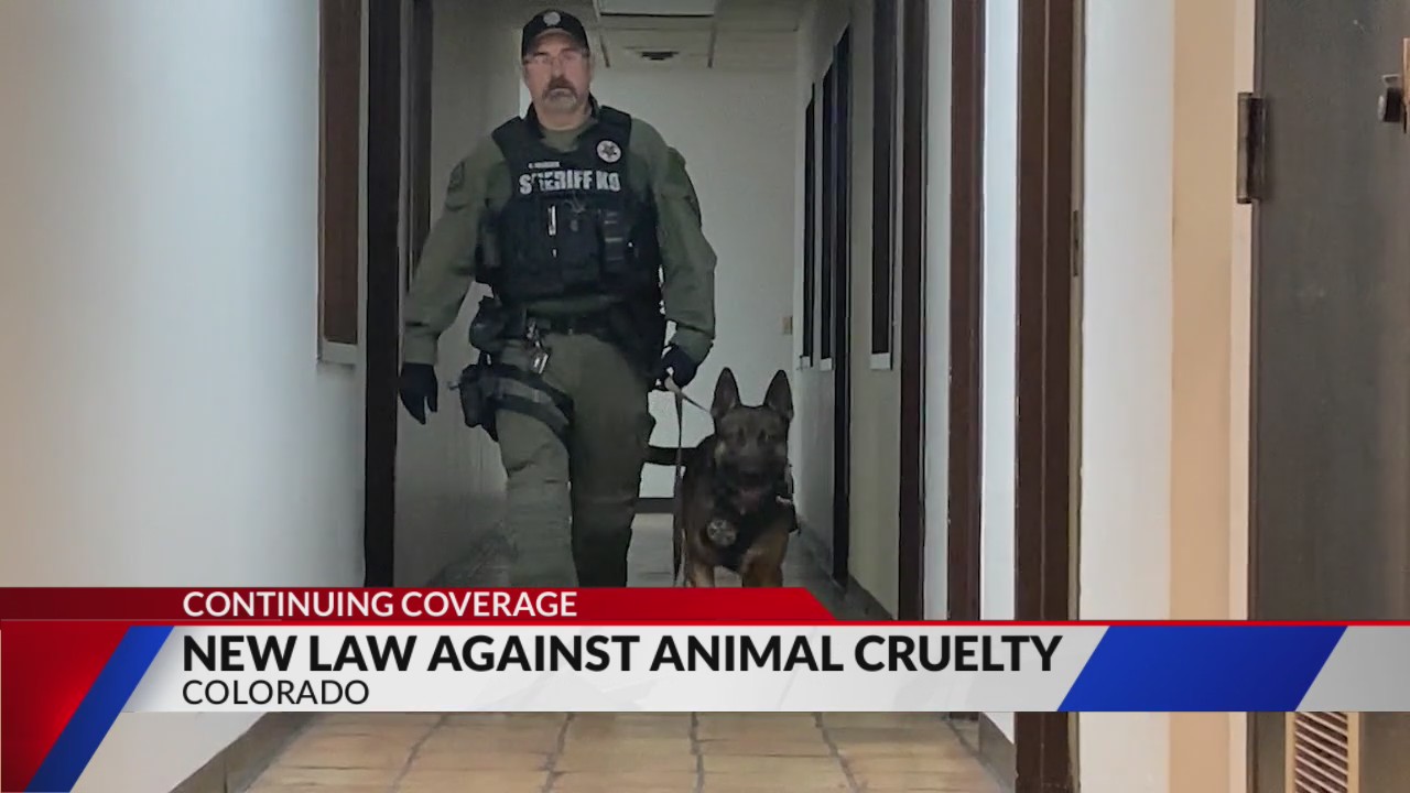 ‘Jinx’s Law’ creates stricter punishments for cruelty to law ...